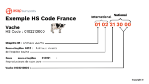 Trouvez facilement le HS Code de vos marchandises