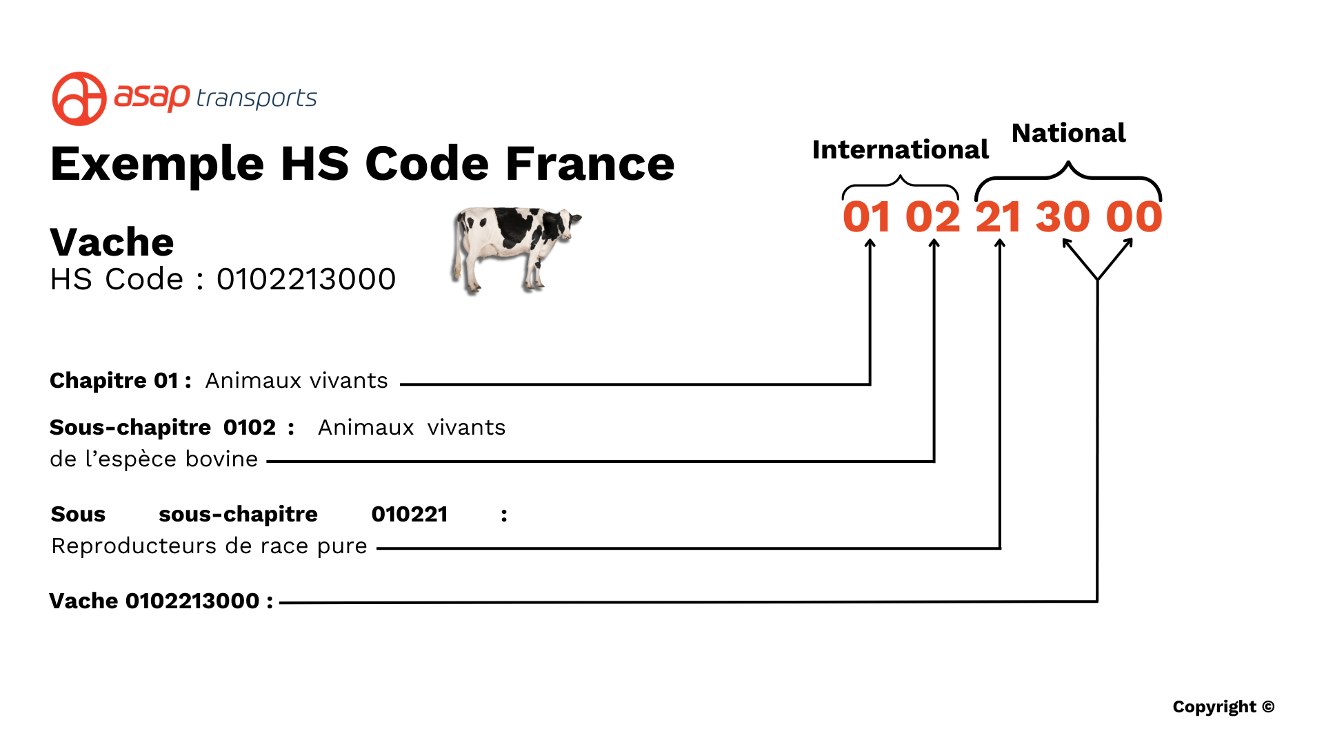 Trouvez facilement le HS Code de vos marchandises